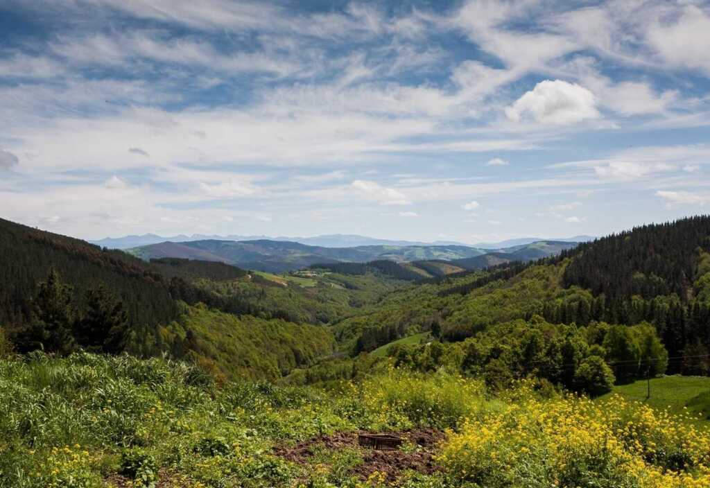 Camino Primitivo desde Lugo | Viajes Camino de Santiago